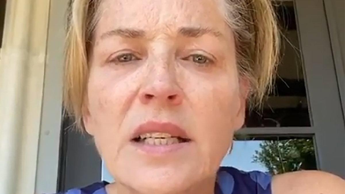 Oyuncu Sharon Stone, ailesinin koronavirüsle mücadelesini anlattı ve ...